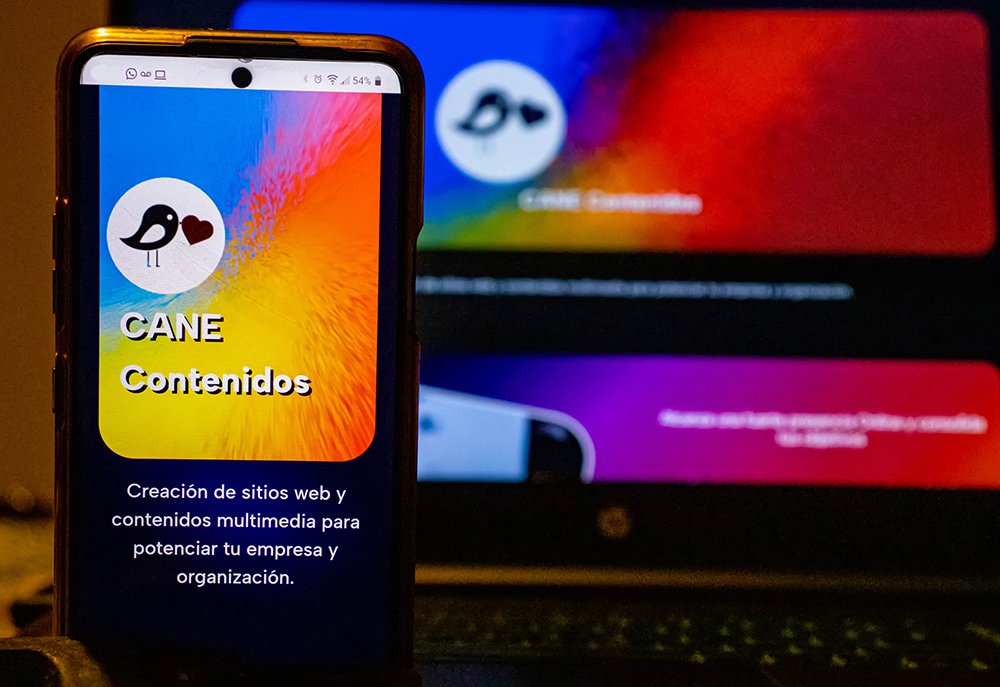 CANE Contenidos - Creación de sitios web y contenidos multimedia para ...